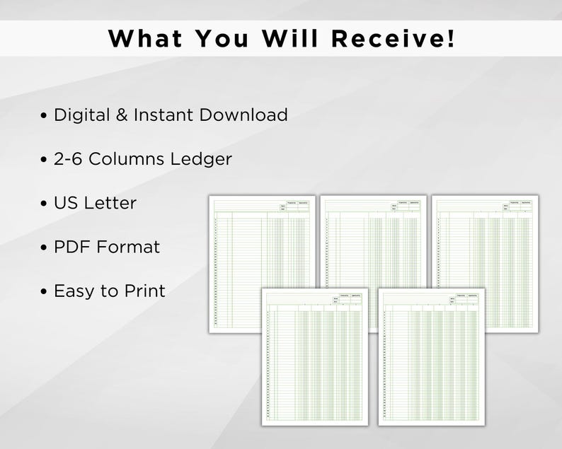 Accounting Ledger. 2-6 Columns Ledger. Columnar Paper. Digital Ledger ...