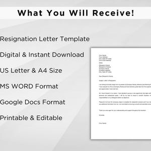 Professional Resignation Letter Template. Letter of Resignation ...