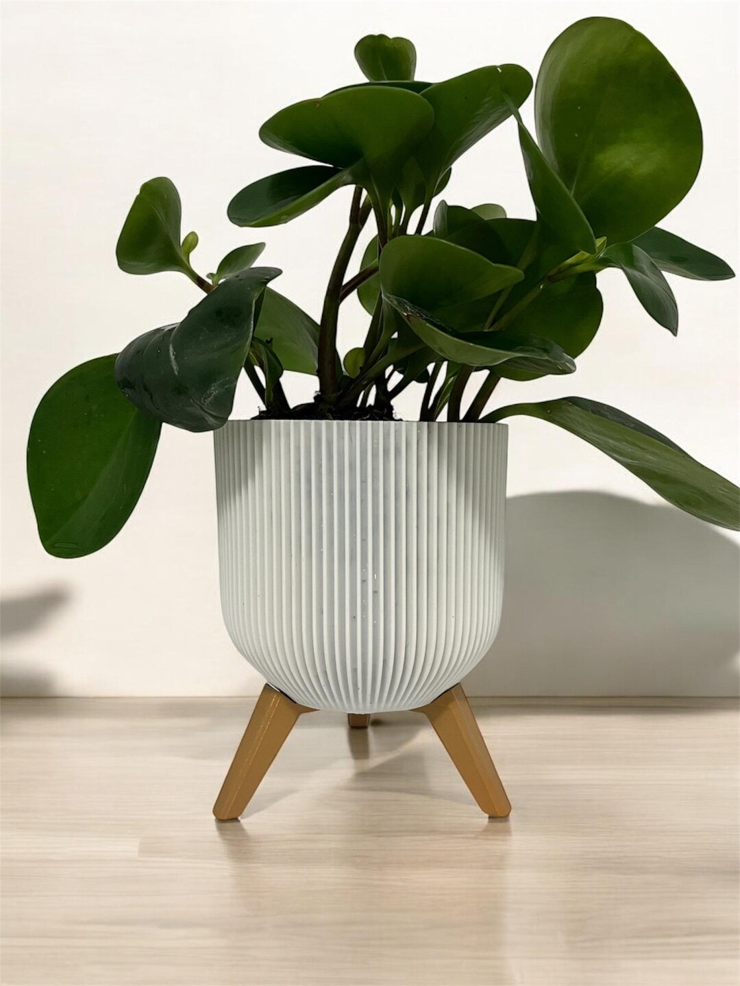 Cute Cozy Planter Pot - 3D Printed Corn PLA - Small Desk Plant Pot ...