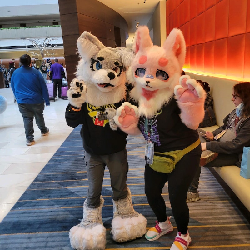 Cheap Fursuit - Etsy