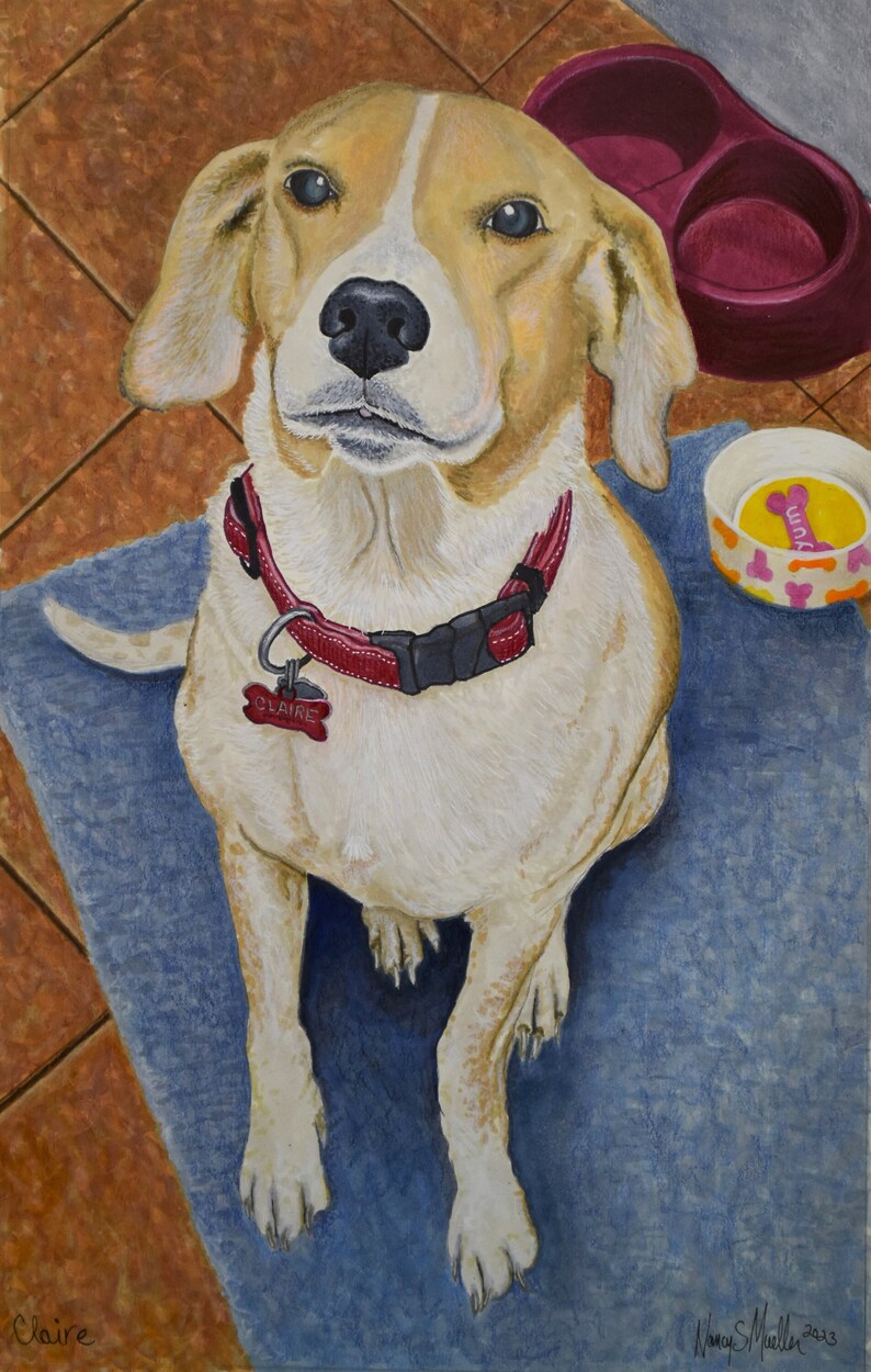 Custom Colored Pencil & Alcohol Marker Pet Portraits Original - Etsy