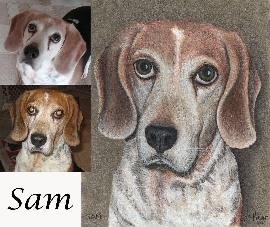 Custom Colored Pencil & Alcohol Marker Portraits- Pet Loss, Memorial ...