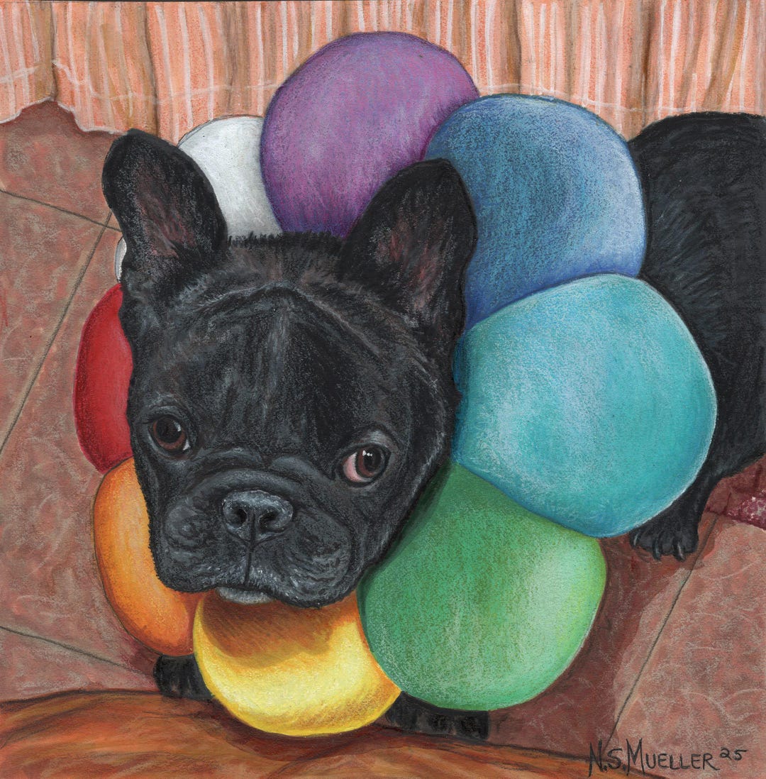 Custom Colored Pencil & Alcohol Marker Individual Pet Portraits ...