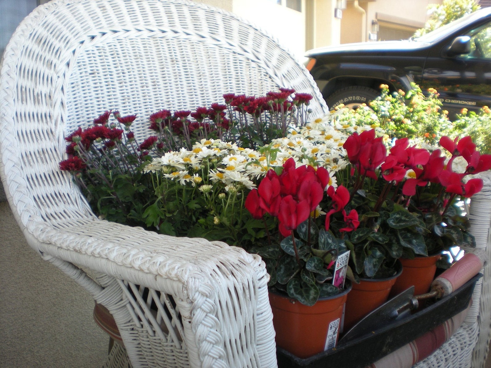 Wicker Chair With Flowers - Original Watercolor Painting 18X24 - Etsy