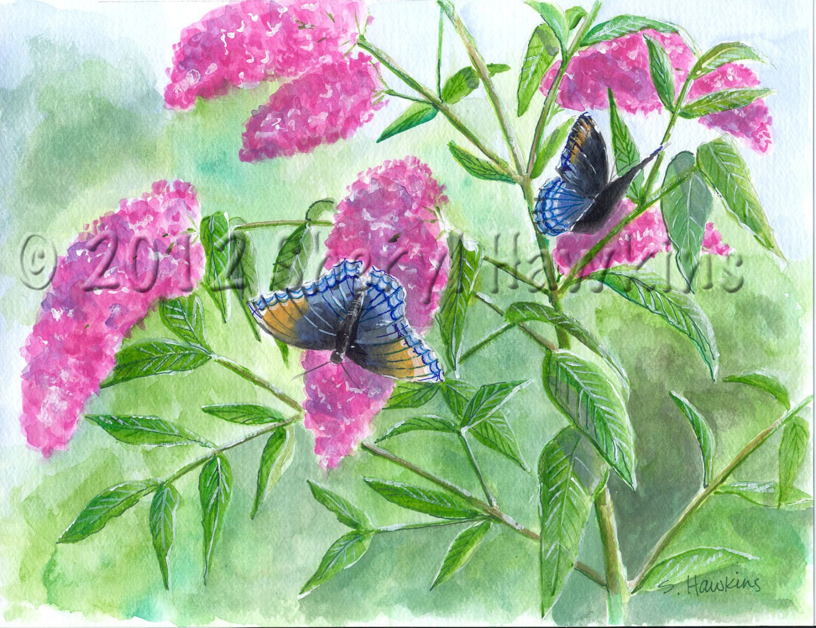 Pink Butterfly Bush With Butterfly Watercolor Painting- Buddleia ...