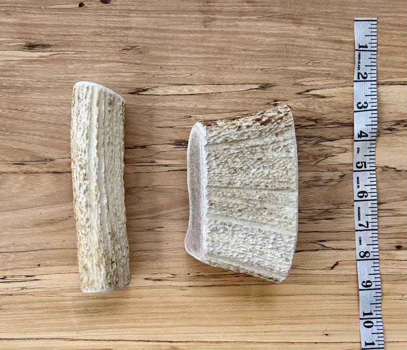 LARGE Elk/red Stag Antler Dog Chew. Deer Antler for Dogs. - Etsy