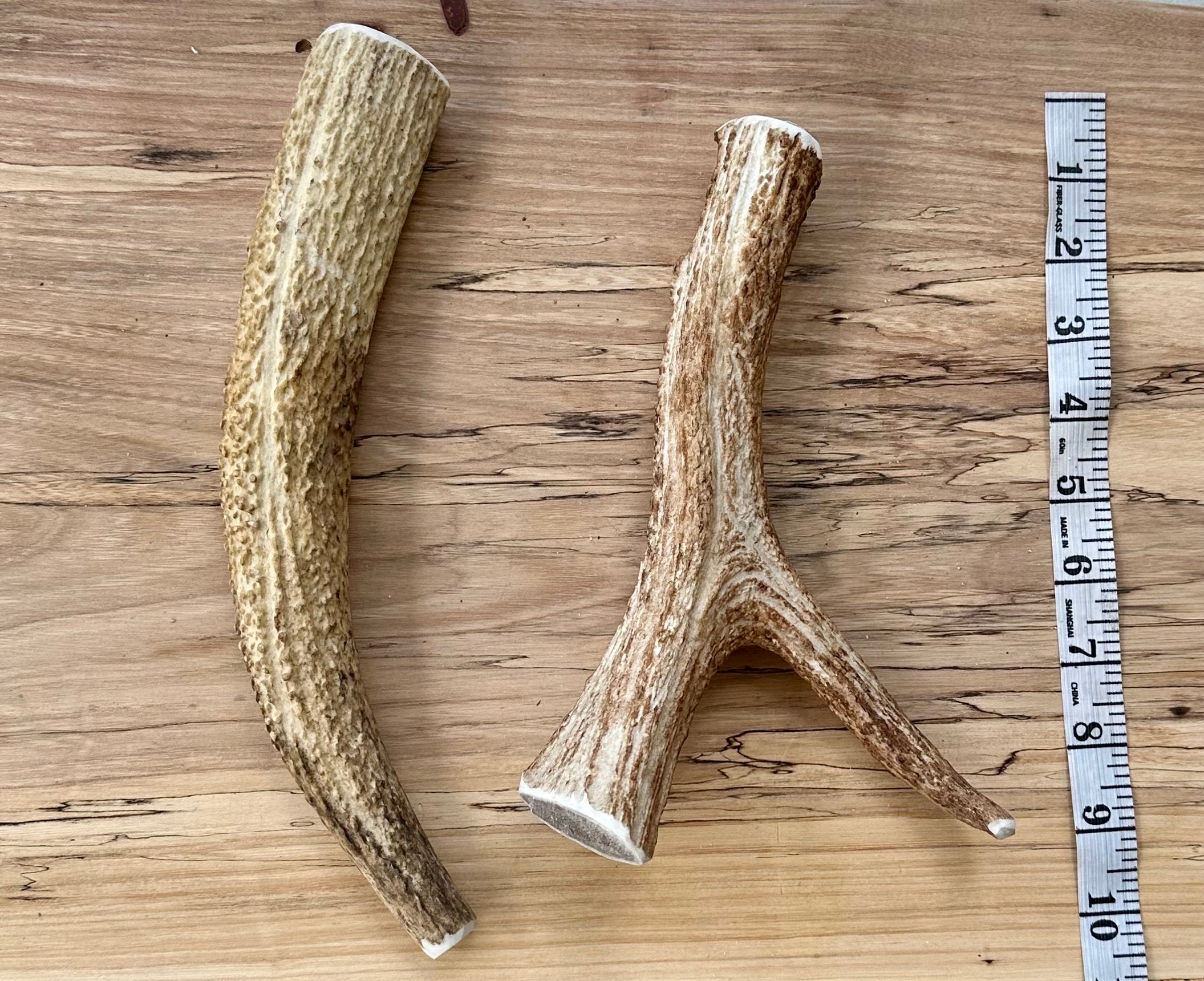 LARGE Elk/red Stag Antler Dog Chew. Deer Antler for Dogs. - Etsy