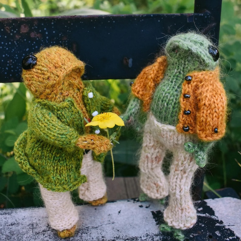 Knitted Frog and Toad Set - Etsy
