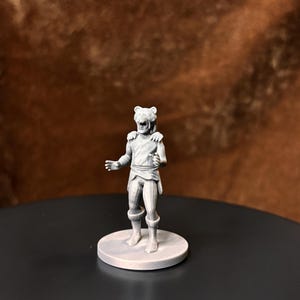 Elven Druid /w Bear Pelt - D&D 5e Miniatures - 3D Printed Minis ...