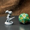 Spider Set - D&D 5e Miniatures - 3D Printed Minis - Dungeons and ...