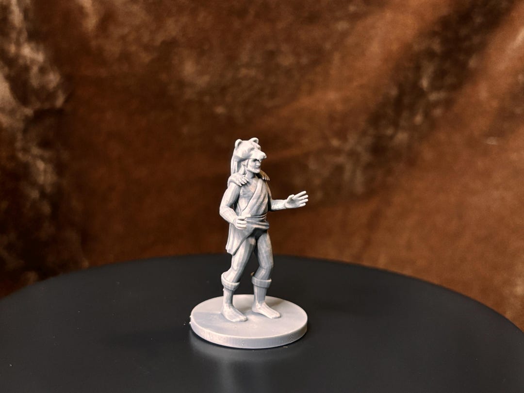 Elven Druid /w Bear Pelt - D&D 5e Miniatures - 3D Printed Minis ...
