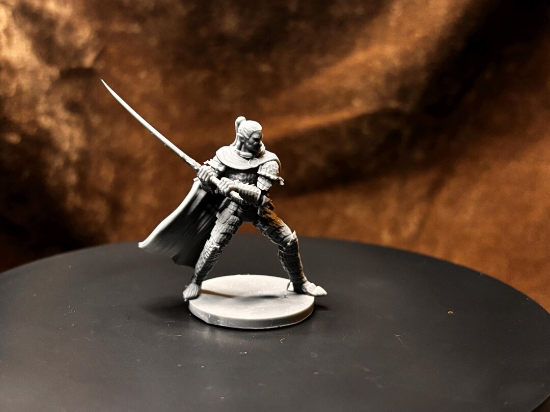 Elf Paladin Male /w 2h Sword D&D 5e Miniatures 3D Printed Minis ...