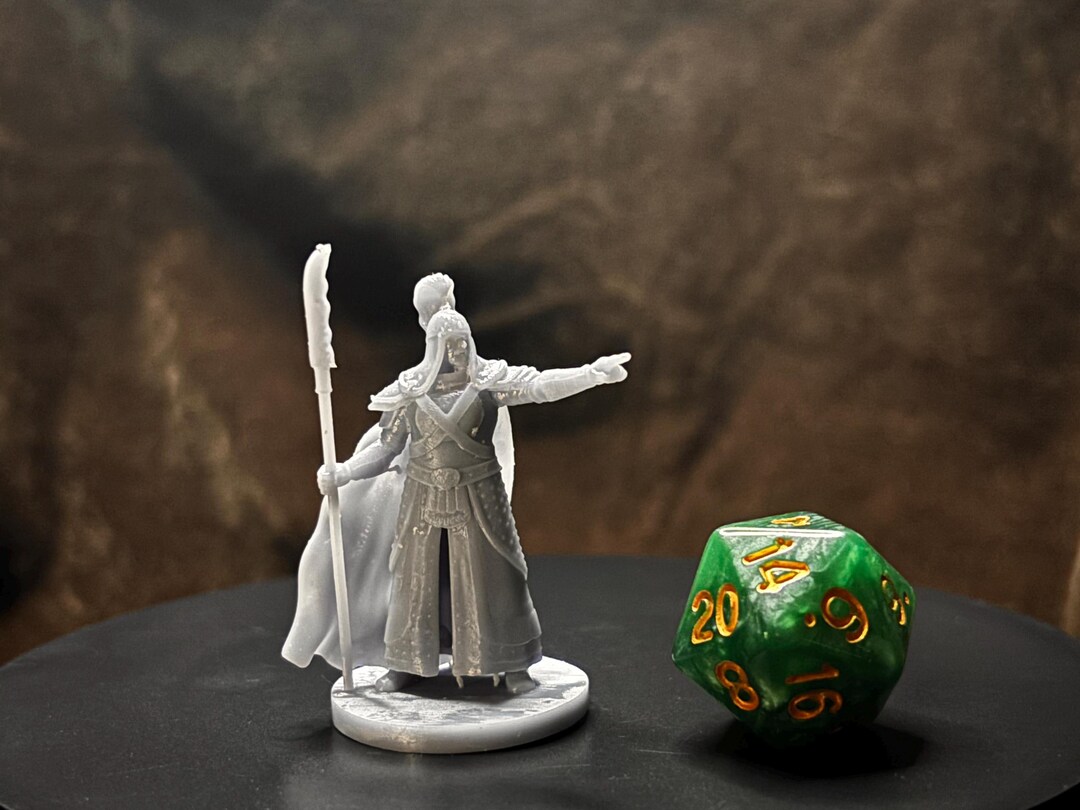 Human Guard With Halberd D&D 5e Miniatures 3D Printed Minis Dungeons ...