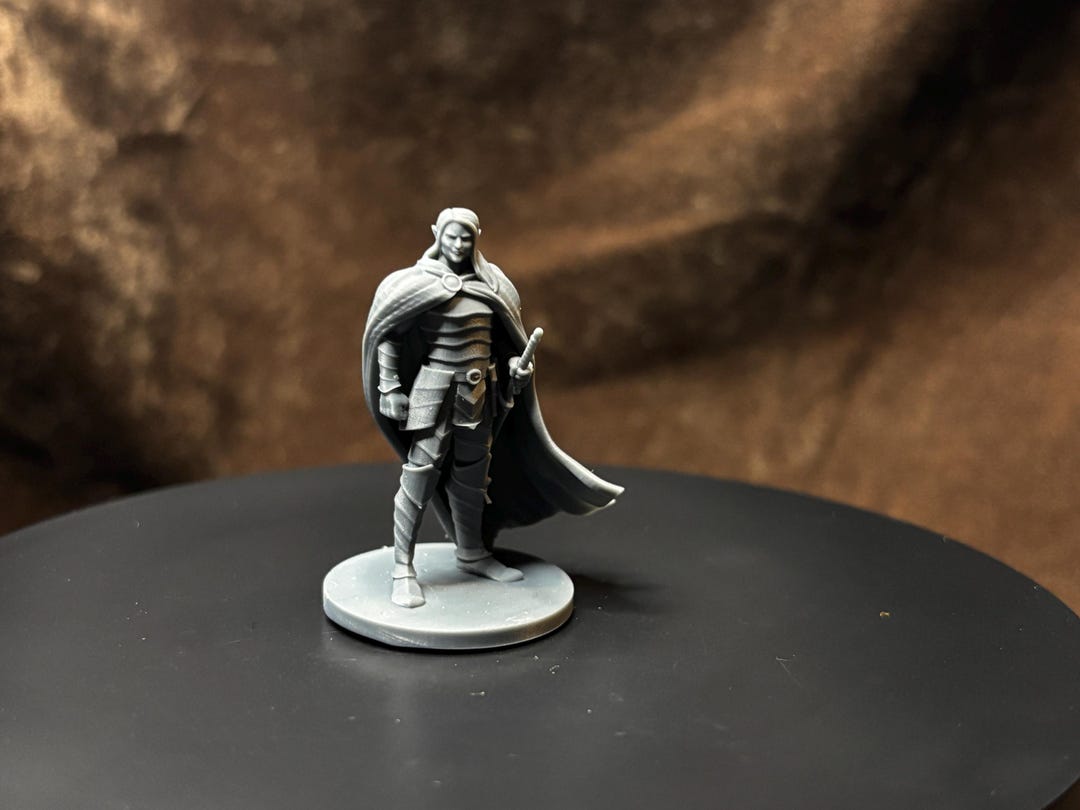Elf Paladin Male /w Cape D&D 5e Miniatures 3D Printed Minis Dungeons ...