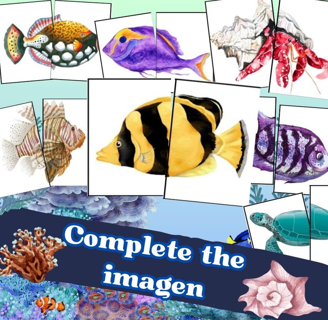 Underwater World Kids’ Game: Find & Match – Memory and Observation ...