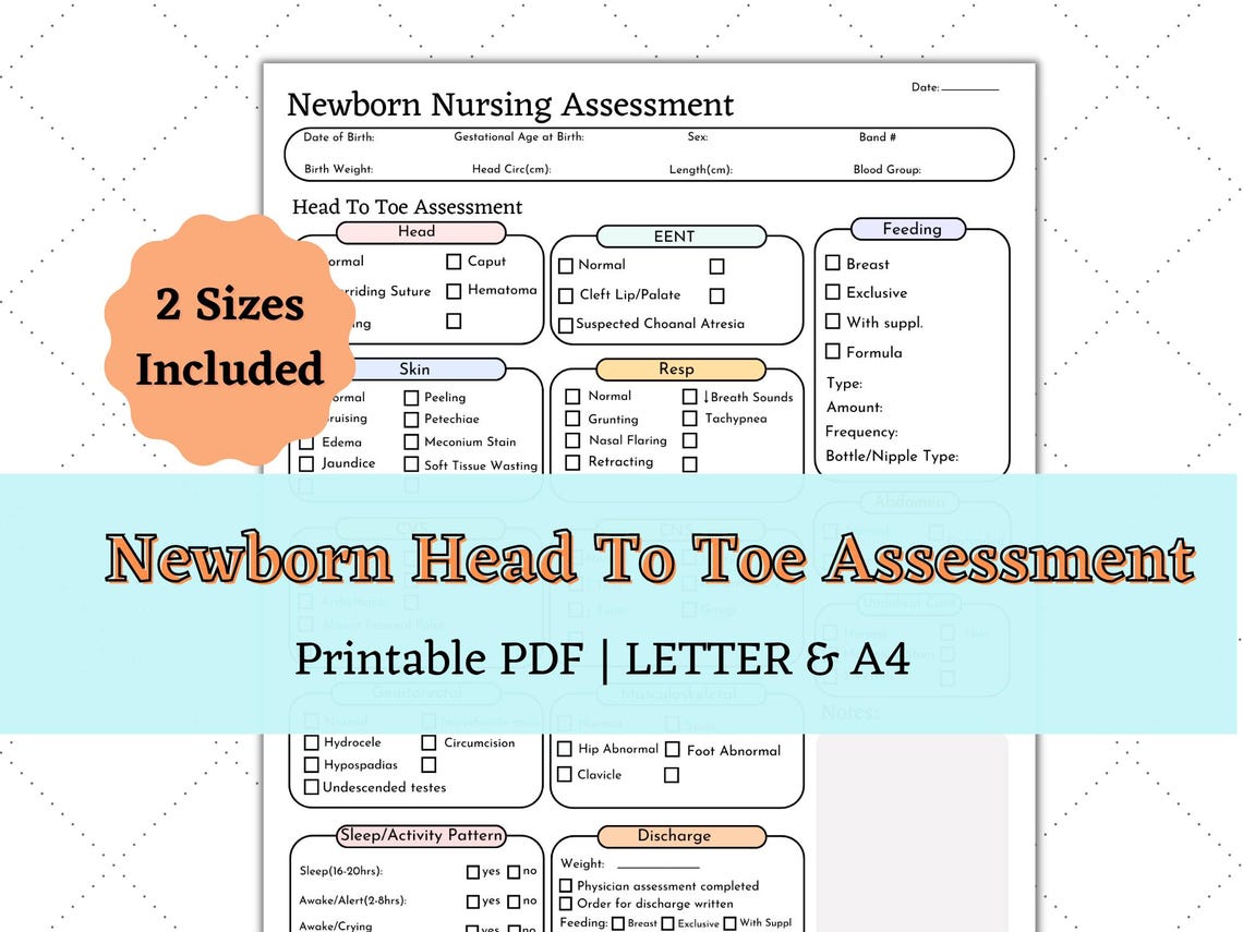 Newborn Head to Toe Assessment Nursing Template, Newborn Report Sheet ...
