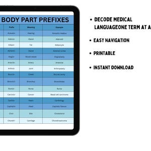 Medical Terminology Study Guide – Prefixes & Suffixes Flashcards ...