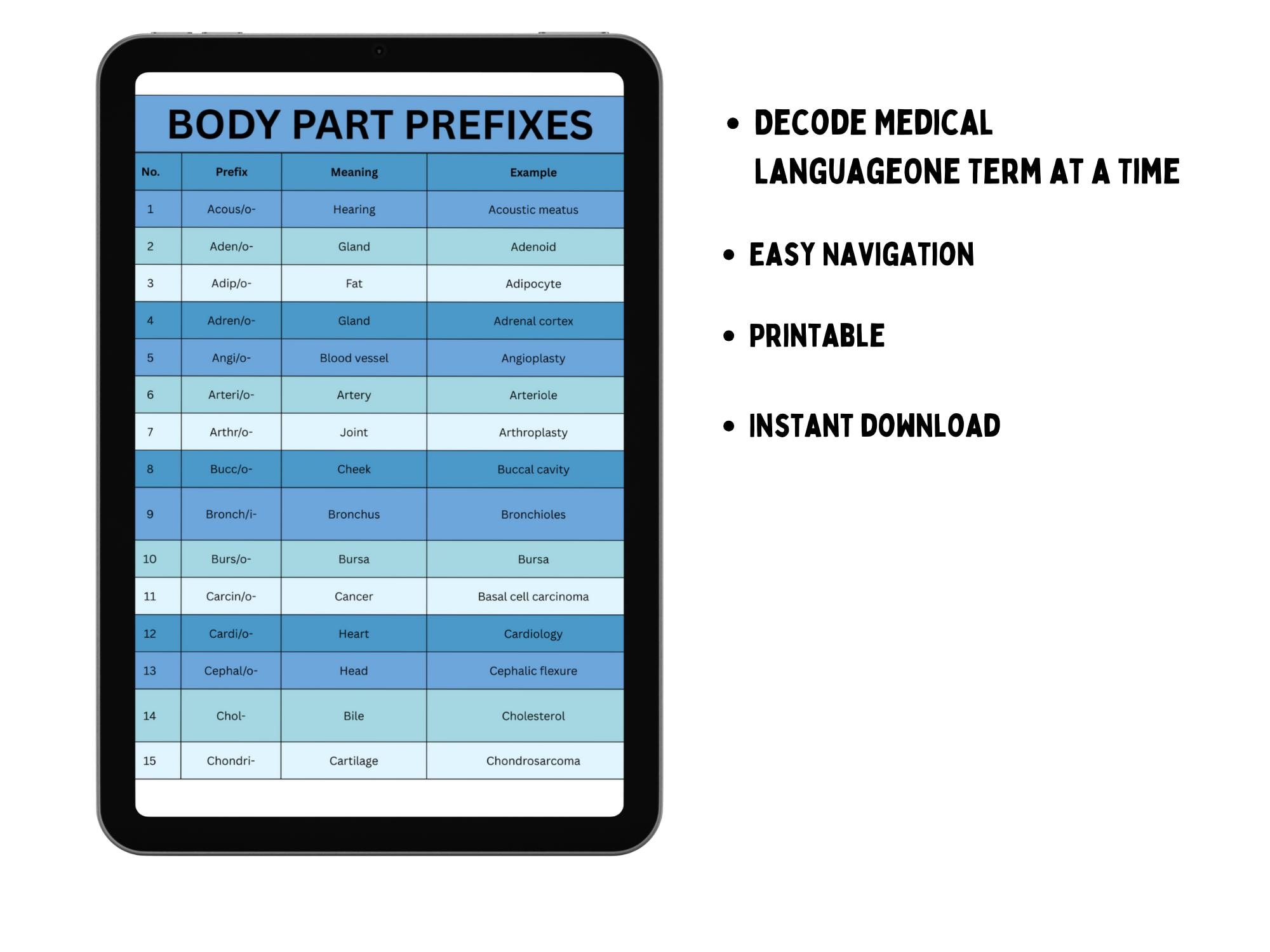 Medical Terminology Study Guide – Prefixes & Suffixes Flashcards ...