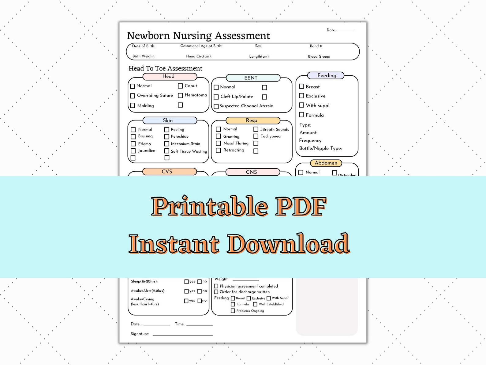 Newborn Head to Toe Assessment Nursing Template, Newborn Report Sheet ...