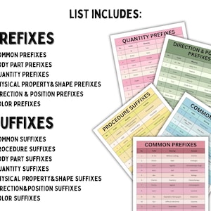 Medical Terminology Study Guide – Prefixes & Suffixes Flashcards ...