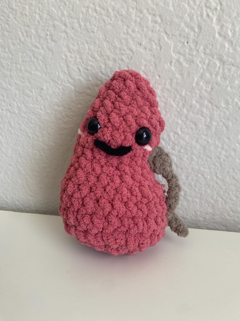 Crochet Kidney Pattern – Anatomy Plush Amigurumi, Medical Gift (PDF ...