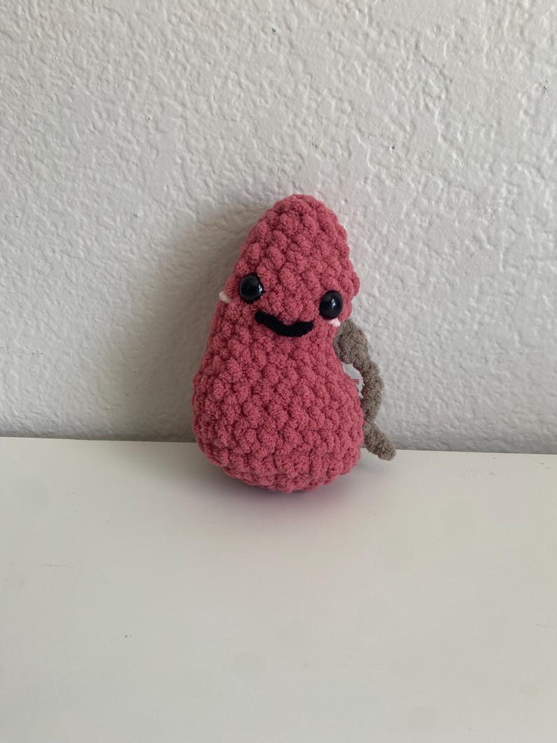 Crochet Kidney Pattern – Anatomy Plush Amigurumi, Medical Gift (PDF ...