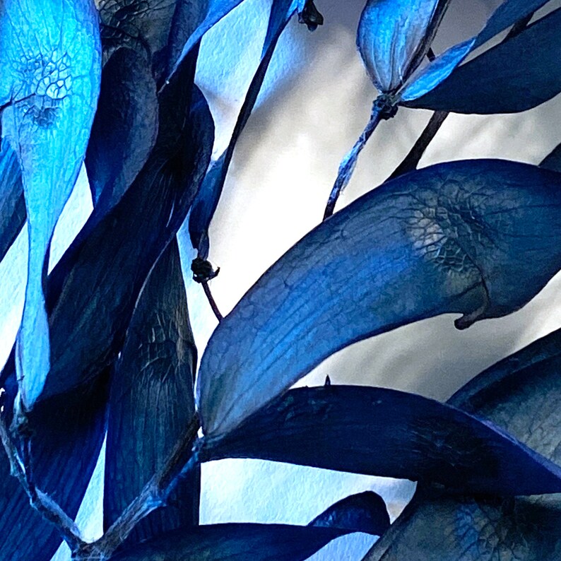 Blue Velvet Tree of Heaven Seed Pod Clusters Art Supply Home Decor ...