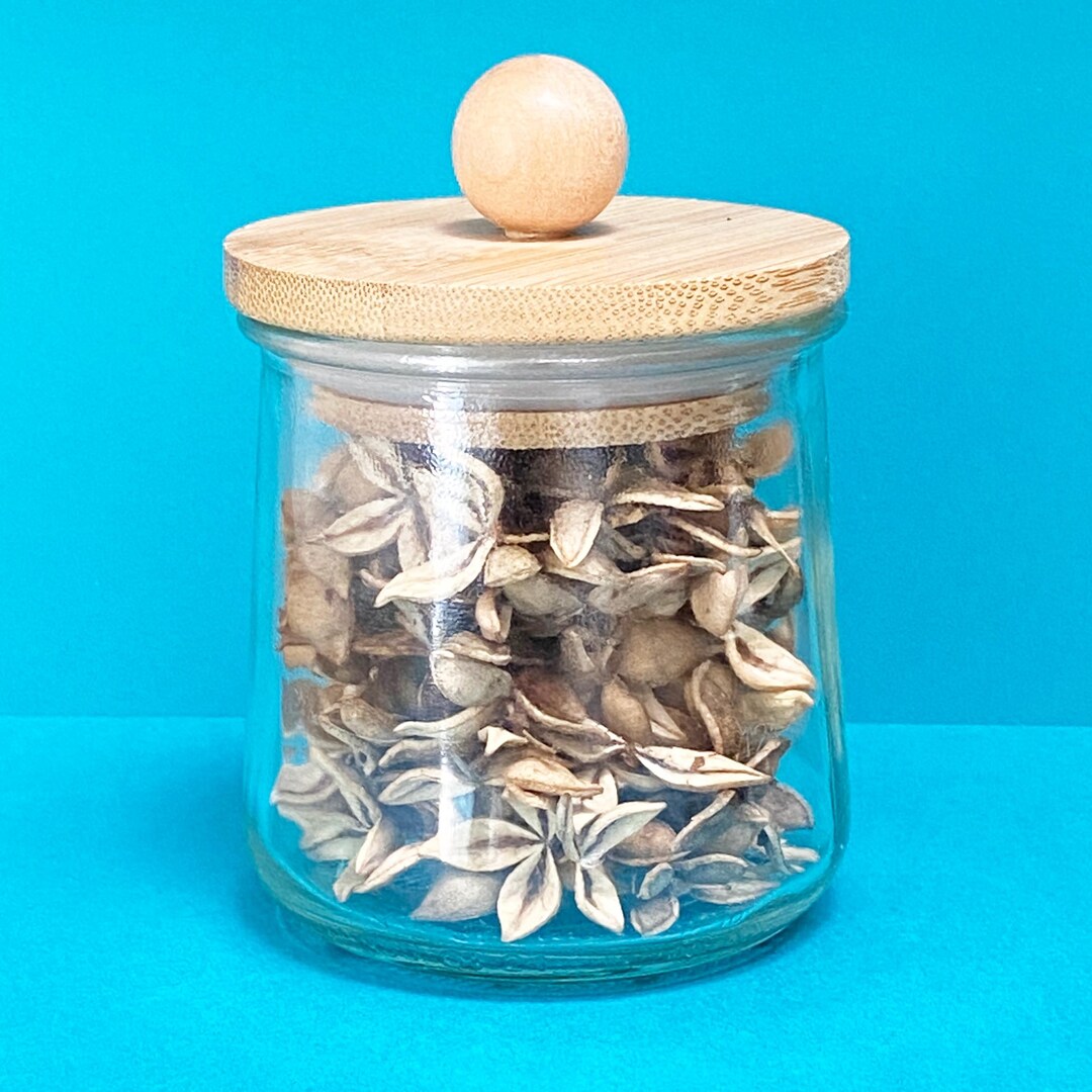 100 Cottonwood Tree Seed Pods With Adorable Jar Art Supply Home Decor Natural Materials Etsy