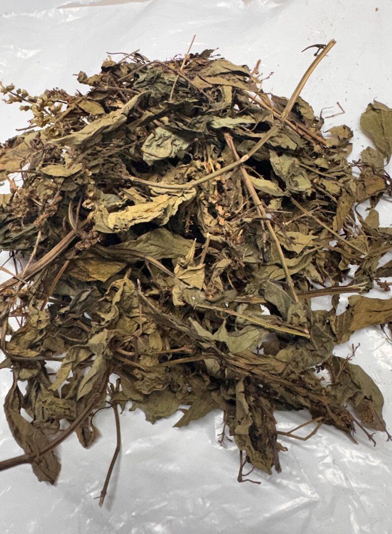 Ewe Efinrin: Dried African Basil Scent Leaves, Organic Ocimum ...
