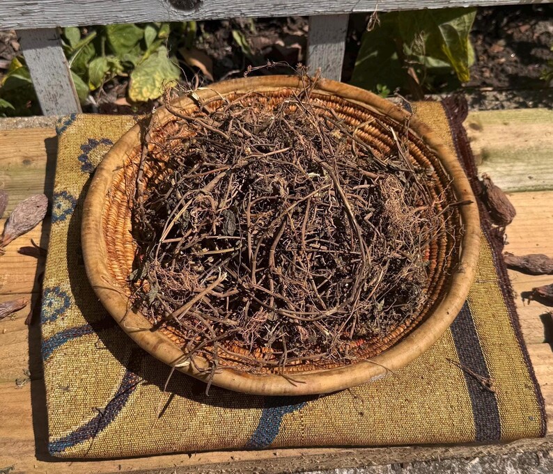 Ewe Rerinkomin, Ageratum Conyzoides, King of Grass Leaves, Organic ...