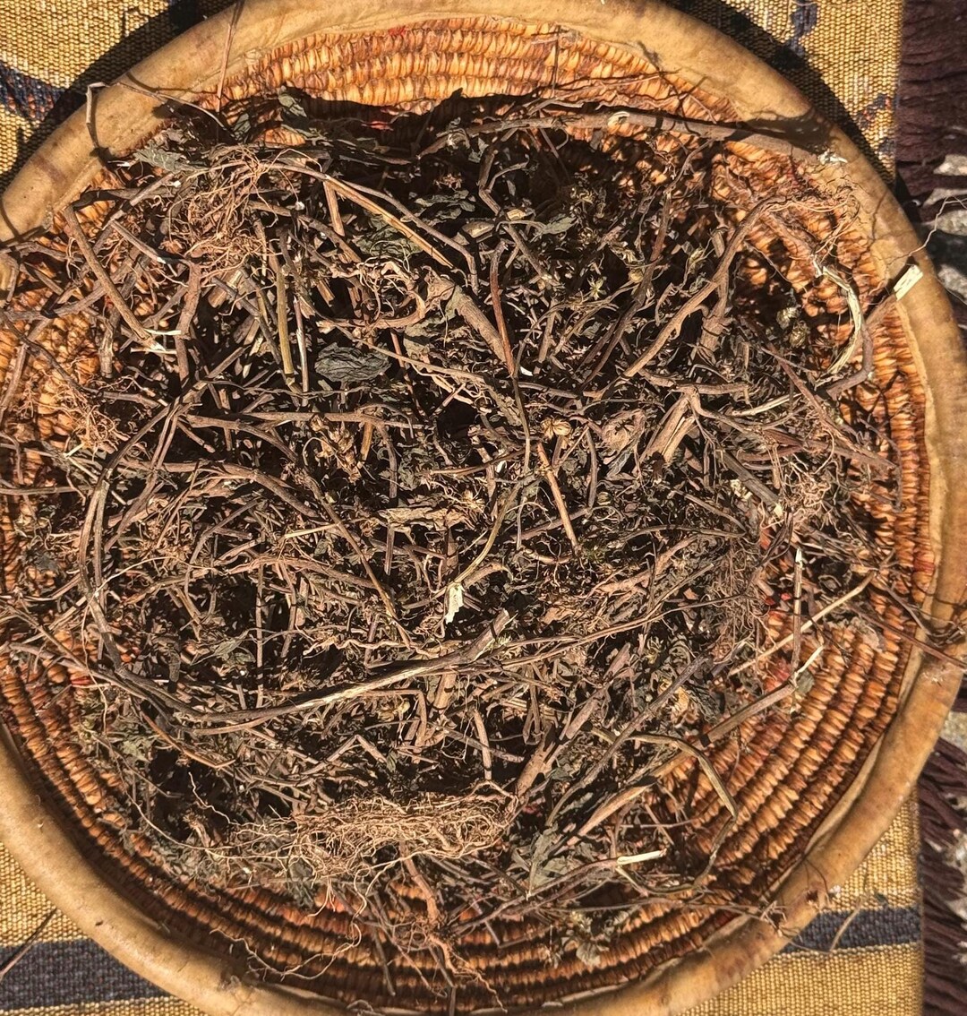 Ewe Rerinkomin, Ageratum Conyzoides, King of Grass Leaves, Organic ...