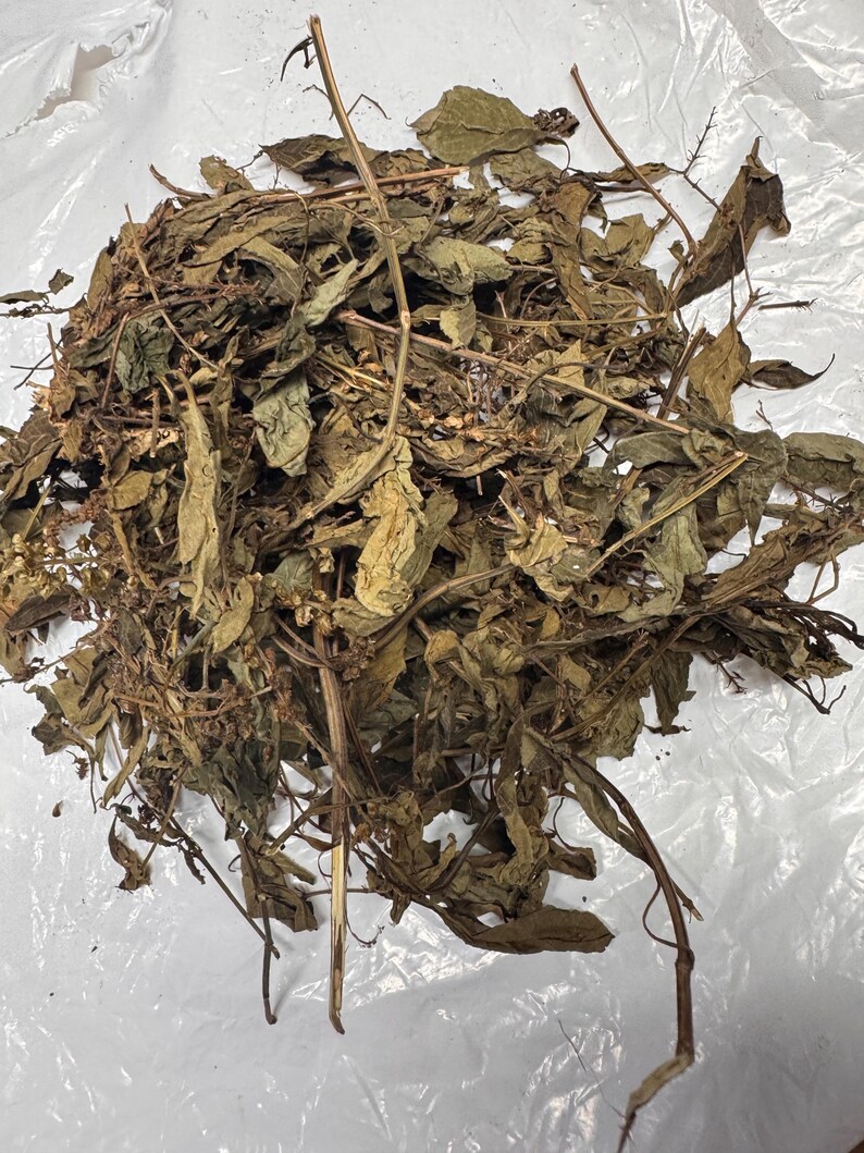 Ewe Efinrin: Dried African Basil Scent Leaves, Organic Ocimum ...