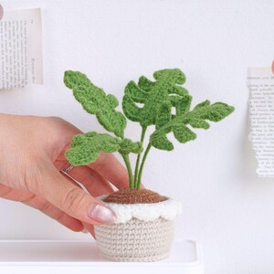 Monstera Pot Crochet Pattern, Plant Pot Crochet Pattern, Crochet Home ...
