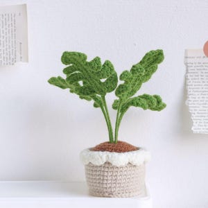 Monstera Pot Crochet Pattern, Plant Pot Crochet Pattern, Crochet Home ...