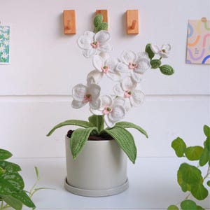 Orchid Crochet Pattern, Flower Crochet Patterns, Crochet Home Decor ...