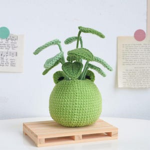 Froggy Duo Pots Crochet Patterns Bundle | Pink Frog Pot Pattern, Green ...