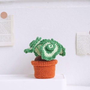 Begonia Escargot Pot Crochet Pattern, Amigurumi Plant Crochet Pattern ...