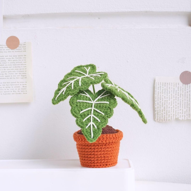 Elegant Green Pots Crochet Patterns Bundle, Neon Pothos Pot, Caladium ...