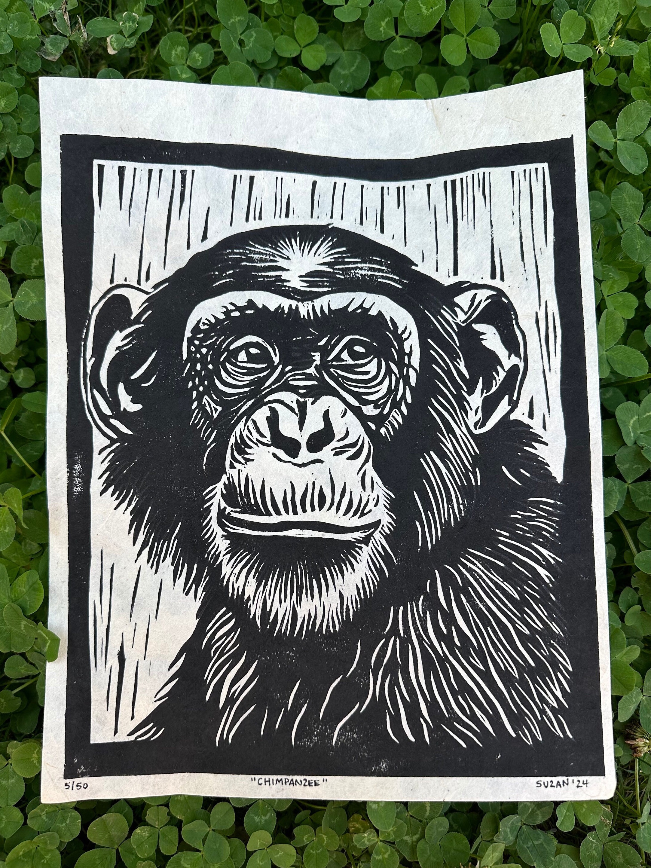 Chimpanzee Linocut, Chimpanzee Art - Etsy