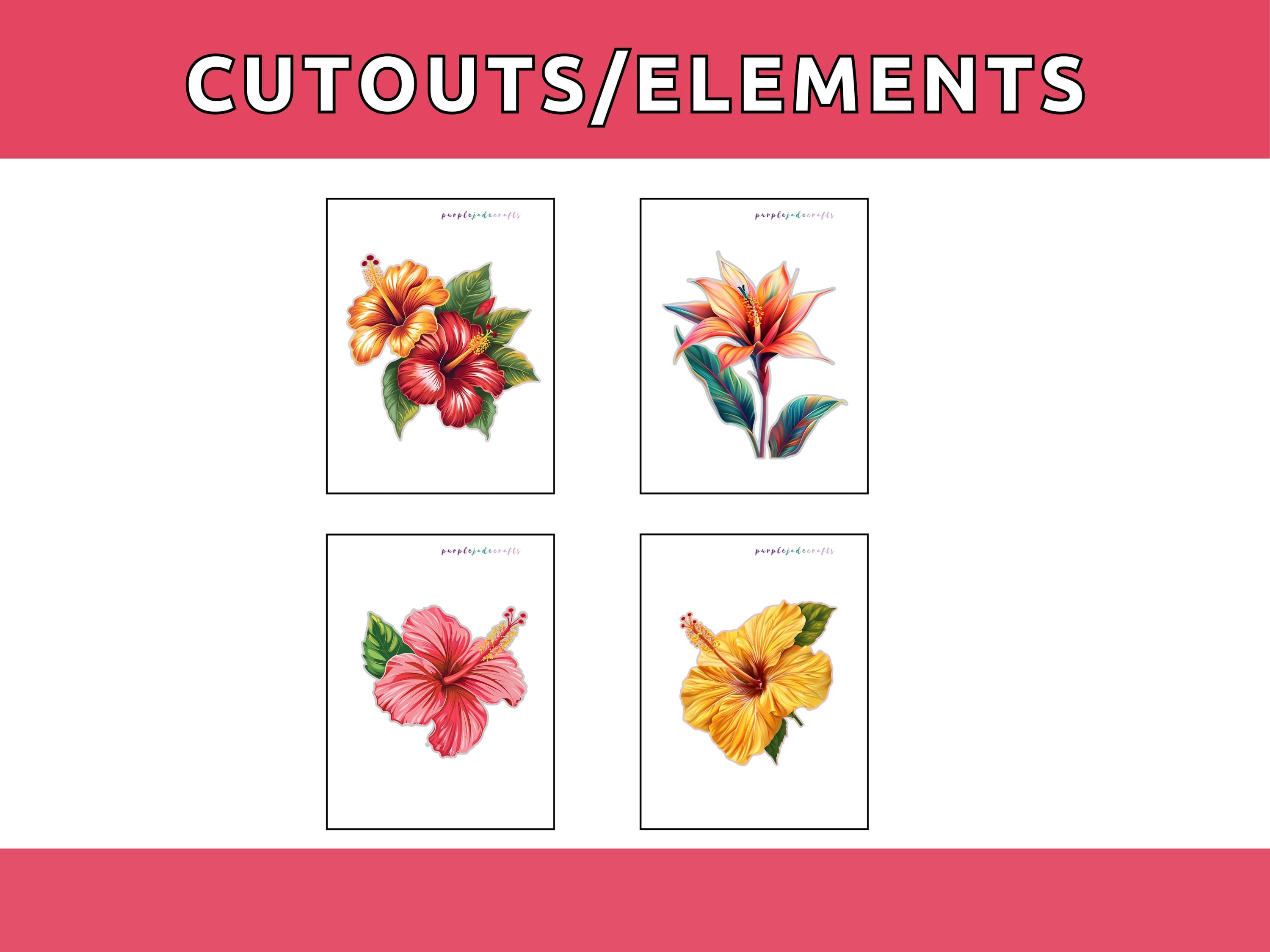 Classroom Bulletin Flamingo Theme Back to School Bulletin Board Kit ...