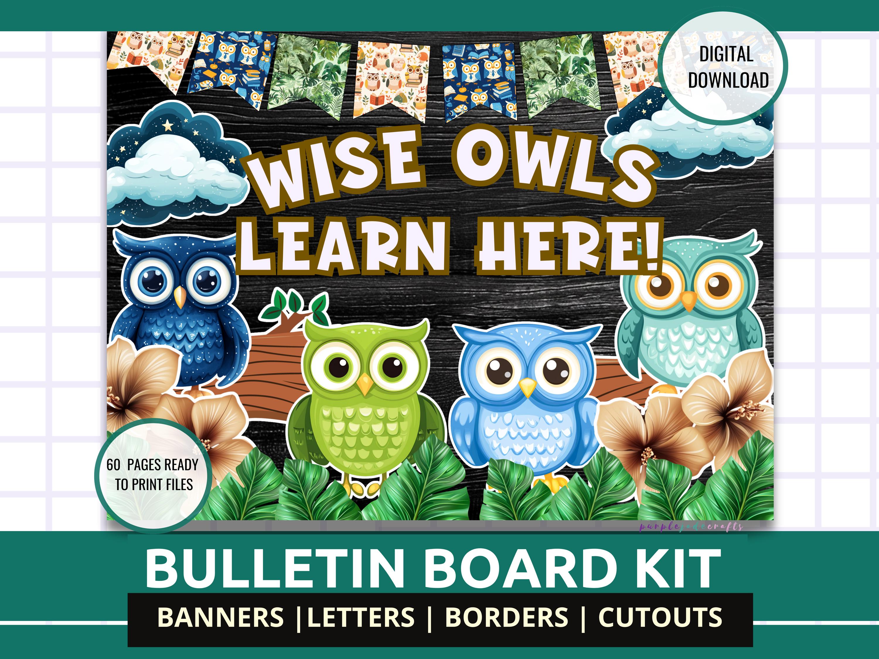 Daycare Bulletin Board Kit Owl Theme Bulletin Daycare Classroom Decor ...