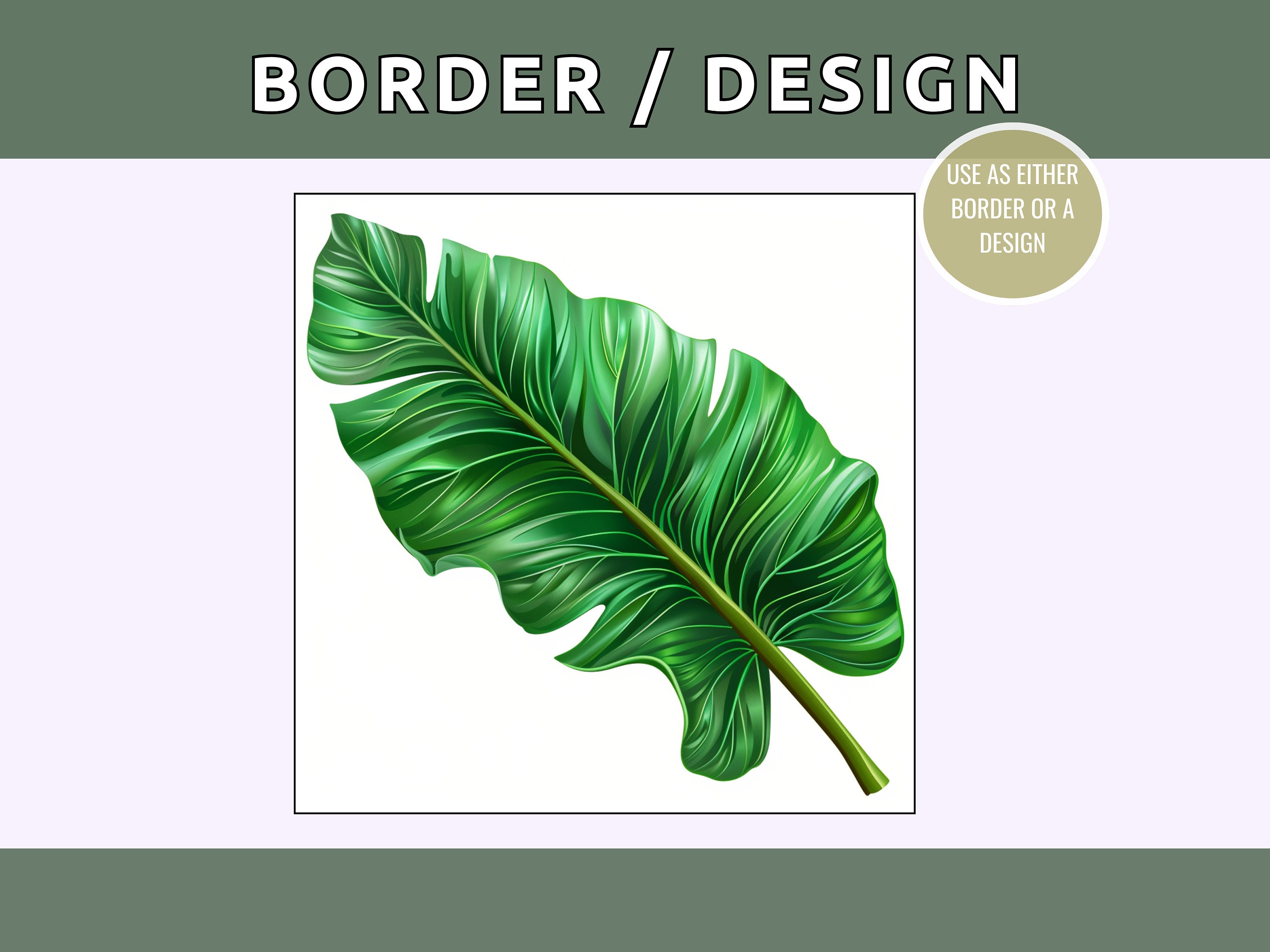 Classroom Bulletin Board Safari Jungle Theme Decor Set Back to School ...