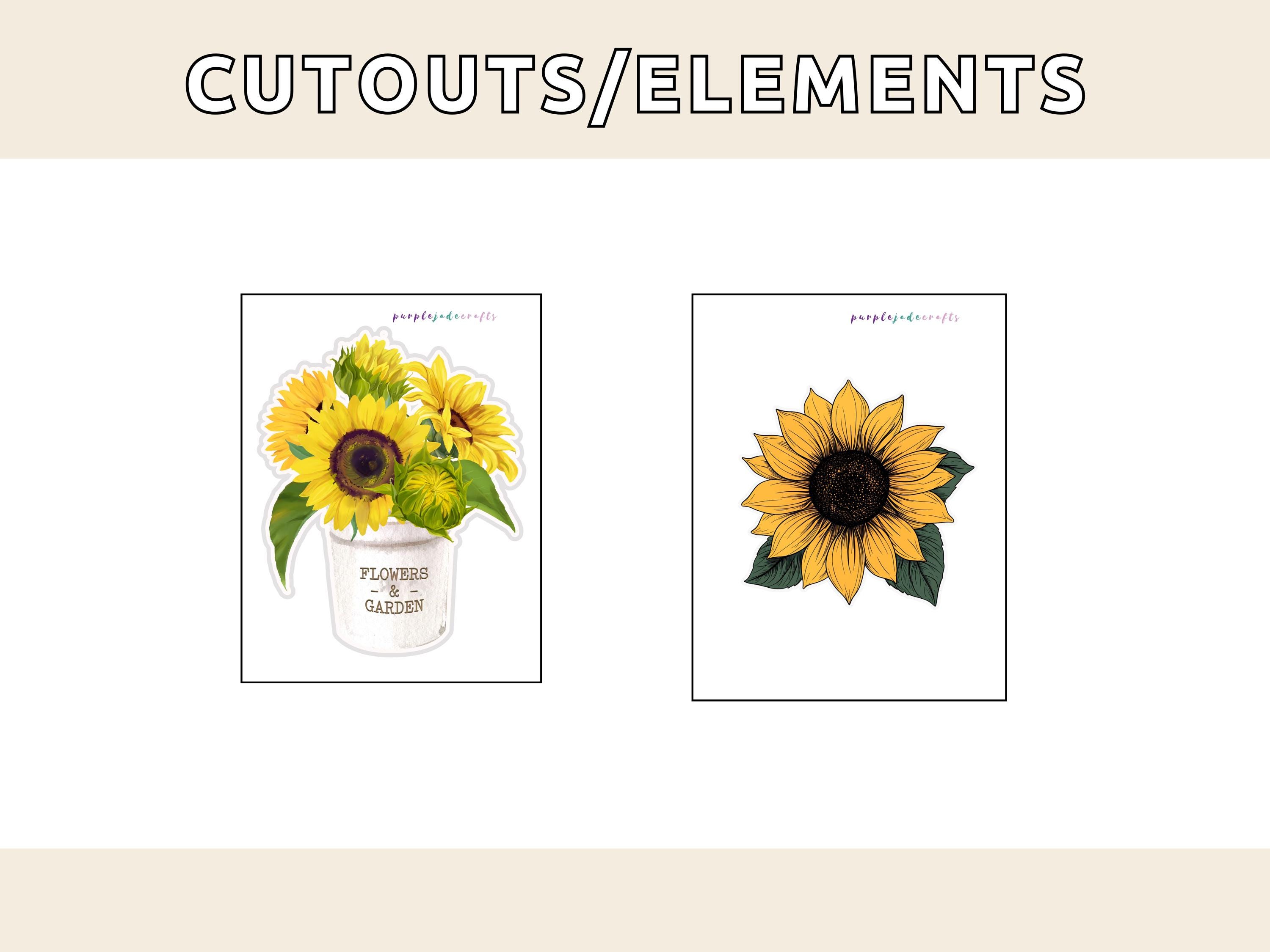 Sunflower Themed Bulletin Board Kit Classroom Bulletin Board Decor Set ...