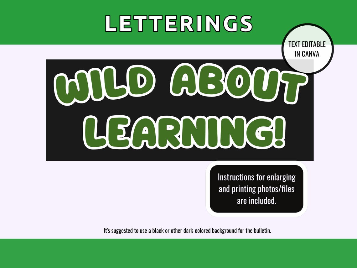 Jungle Safari Bulletin Board Kit: Wild About Learning Classroom Decor ...
