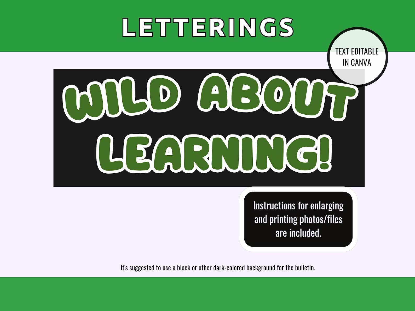 Jungle Safari Bulletin Board Kit: Wild About Learning Classroom Decor ...
