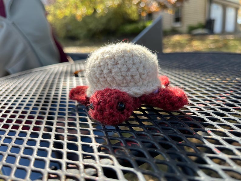 Red and Tan Turtle - Etsy