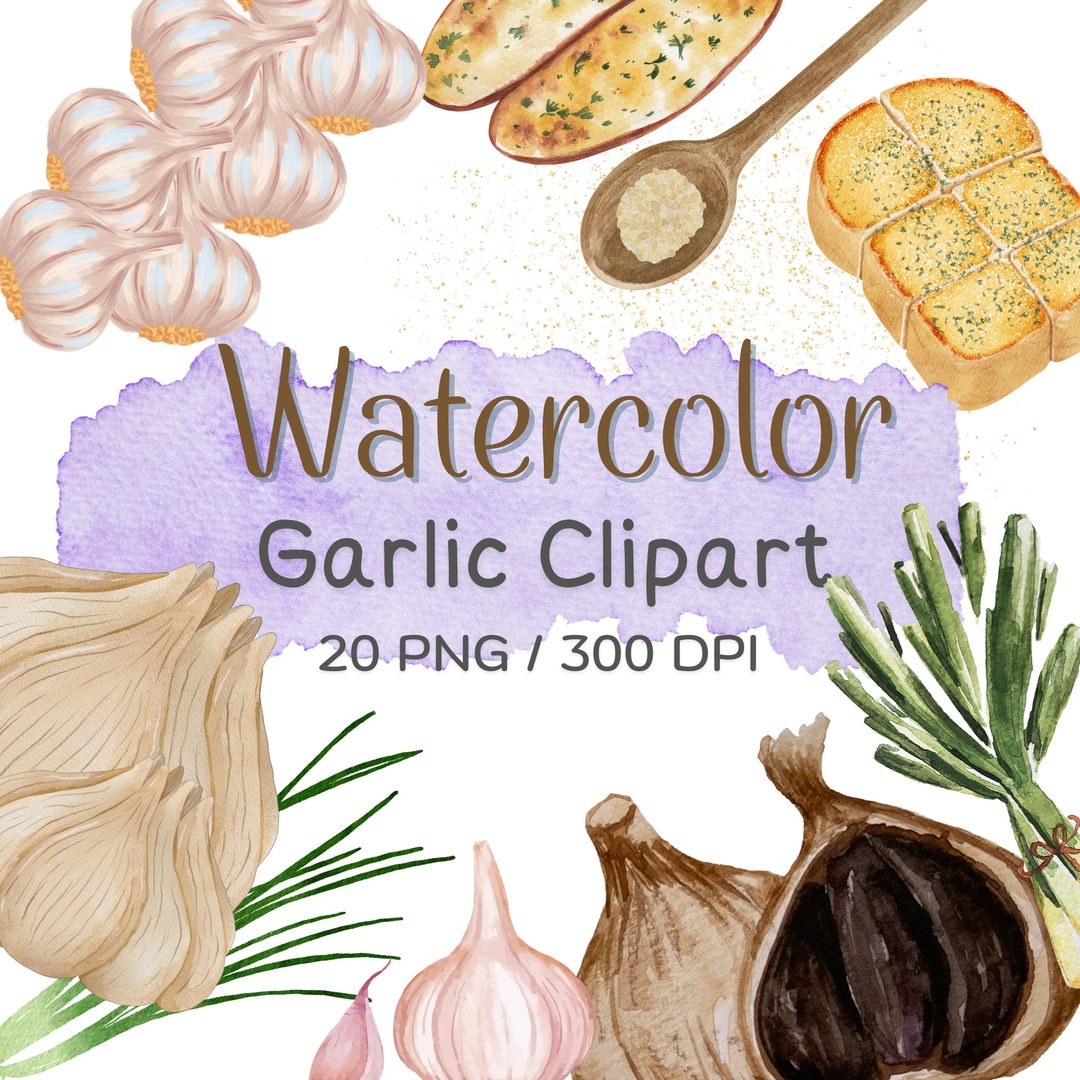 Watercolor Garlic Clipart, Garlic Clipart, Garlic Powder, Chives, Card ...