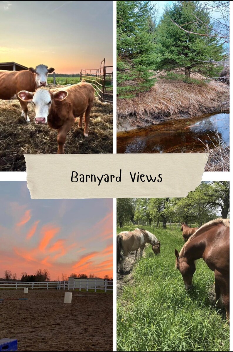 Barnyard Views Printable - Etsy