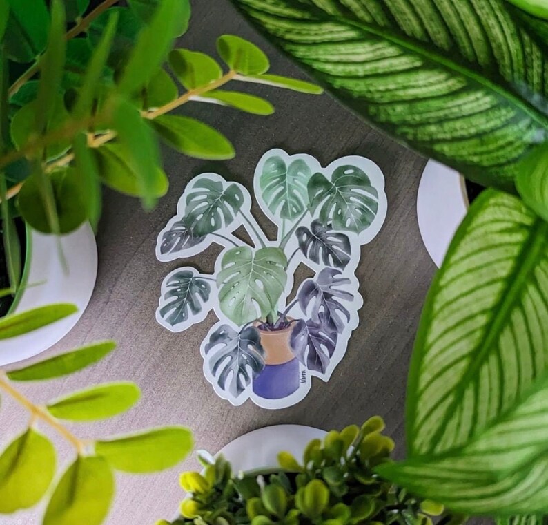 Monstera Plant Matte Weatherproof Waterproof Vinyl Sticker 3 - Etsy