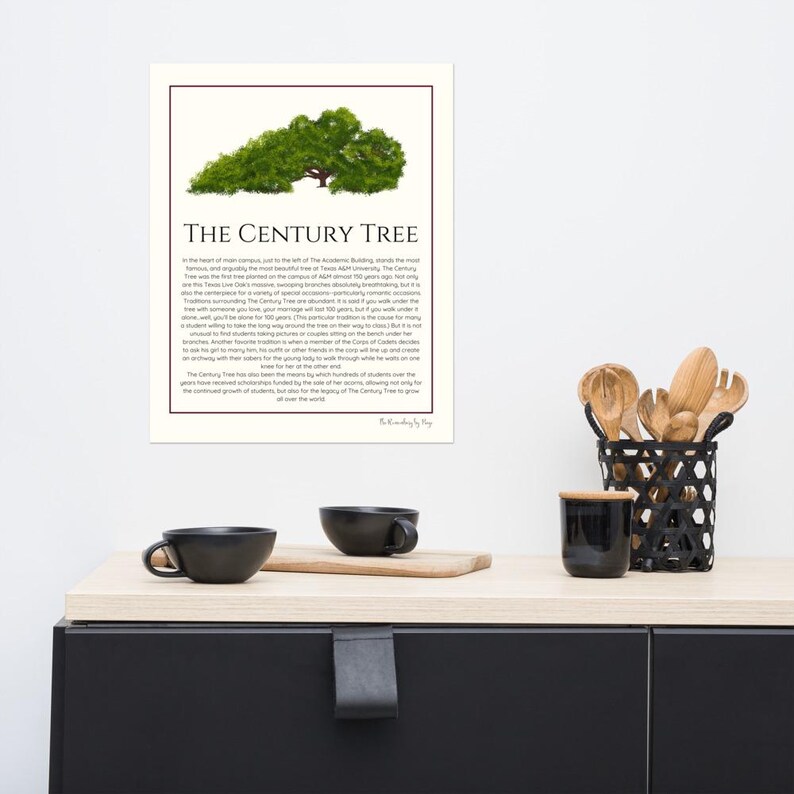 The Century Tree 16x20 Poster | Trees of Texas A&M Collection | TAMU ...